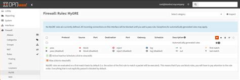 How To Set Up GRE Tunnel Between OPNsense And Linux Zenarmor