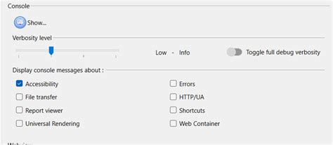 Console In The Debug Panel