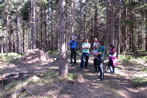 Bark Beetle Attack Early Stage Detection In The Krkonoše Mts Tilspec