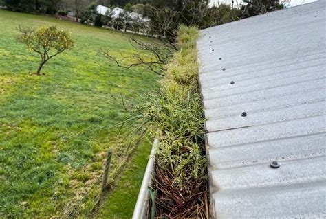 so your gutters are overflowing the 3 gutter overflow solutions