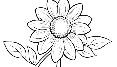 Simple Outline Coloring Pages