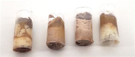 Candy Core Samples Stem Activity