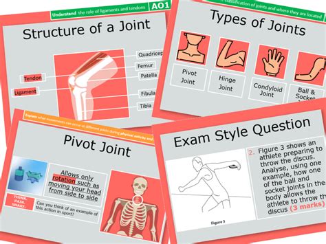 7 Joint Classification Teaching Resources