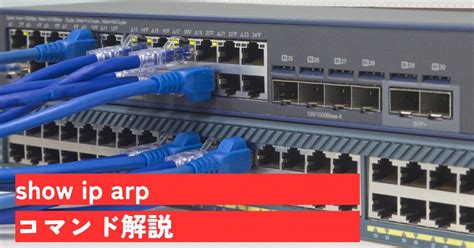 Cisco IOS show ip arpコマンド解説 徹底攻略ゲーム図鑑