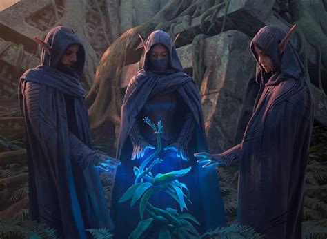 Druid Subclasses 5e We Rank The Best Druid Circles