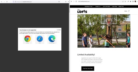 firefox is unsupported browser · issue
