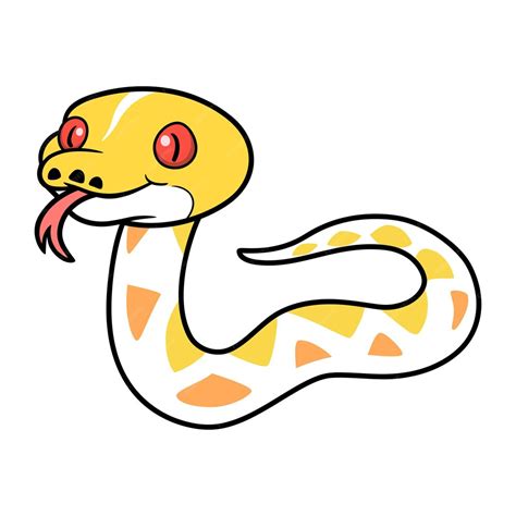 Dessin Animé Mignon Python Réticulé Amélanistique Vecteur Premium