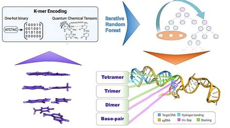 Scientists Leverage AI And Quantum Biology To Improve Genome Editing Tool Inside Quantum