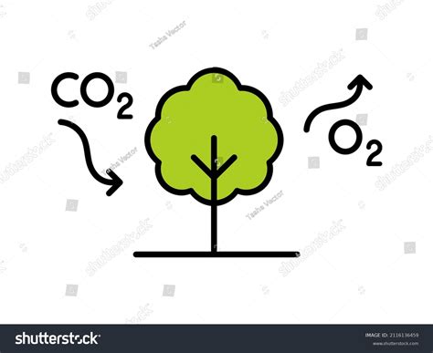 Carbon Cycle Tree Absorbs Co2 Releases เวกเตอร์สต็อก ปลอดค่าลิขสิทธิ์