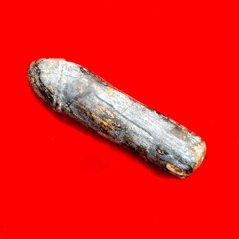 Pusaka Sarutomo Sex Ganas Pusaka Dunia