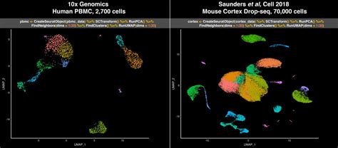 Rahul Satija On Twitter In Seurat V3 Our Sctransform Workflow Learns