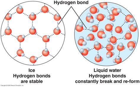 Images And Figures For Oceanography