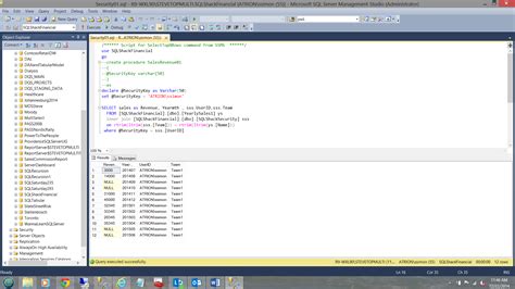 SQL Server Security Mechanism How To Control What Data Users Are Able To View Within Their Reports