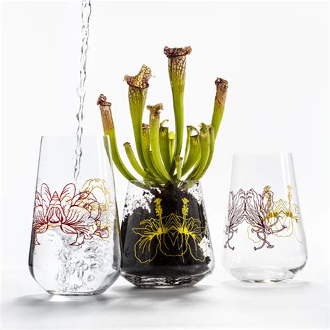 Sklenice Na Prosecco Adele 250 Ml Crystalex Cz Bohemia Crystal™