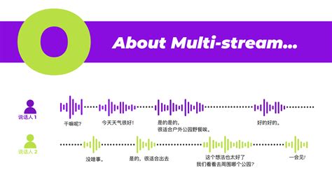 Multi Stream Spontaneous Conversation Training Datasetschinese Magichub