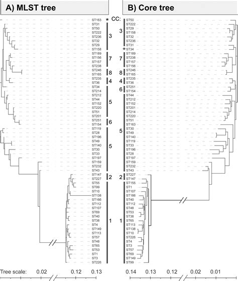 Development And Clinical Application Of A Multilocus Sequence Typing Scheme For Bacteroides