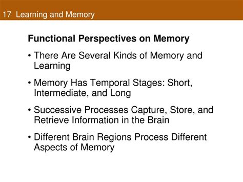 PPT Learning And Memory PowerPoint Presentation Free Download ID 4225327