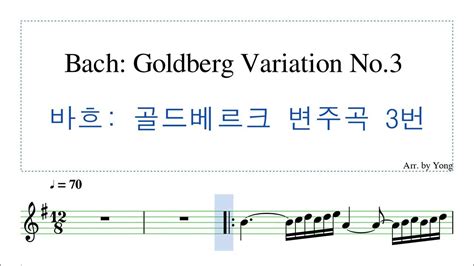 바흐 골드베르크 변주곡 3번 바이올린 편곡 Bach Goldberg Variation No 3 For Violin