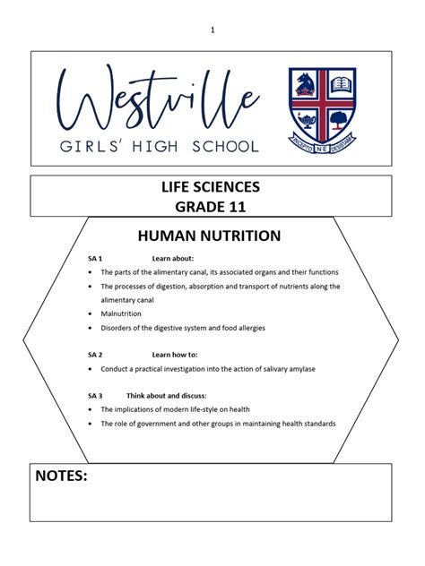 Nutrition Notes 2020 Pdf Digestion Small Intestine