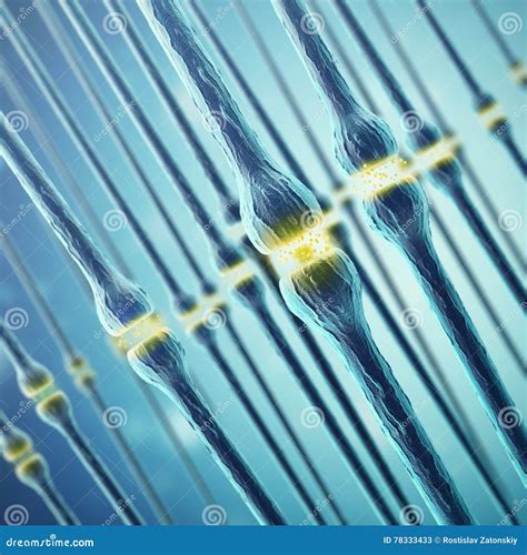 Synaptic Transmission Human Nervous System 3d Rendering Stock Illustration Illustration Of