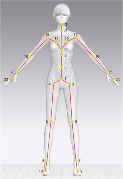 Layout Of 23 Joint Points In Smpl Model Download Scientific Diagram