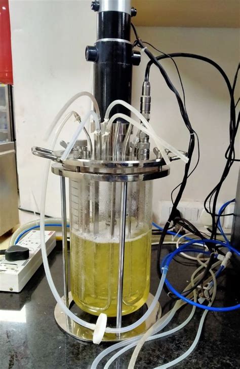 Gagandeep Kaur On Linkedin Bioprocessing Fermentation Research Automationsolutions