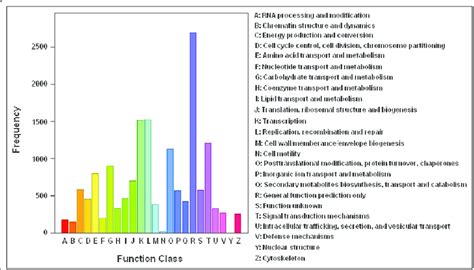COG Function Classification Of The C Sinensis Transcriptome A Total Download Scientific