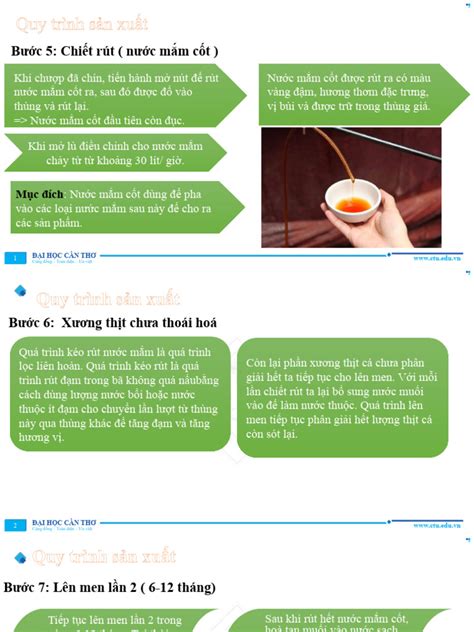 template ctu 1 pdf
