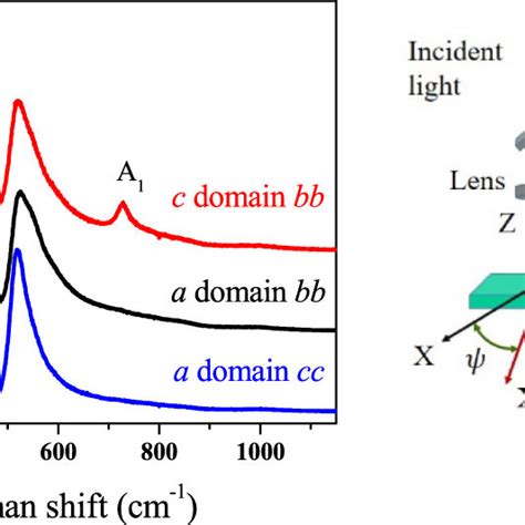 Polarized Raman Measurements On Bto Crystal Left Raman Spectra