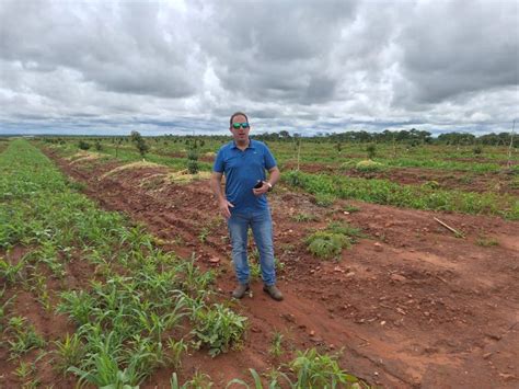 daniel banai on linkedin well done