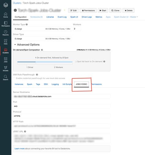 Torch Databricks Integration Torch