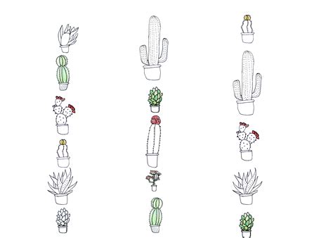 Betekenis Cactus Tattoos