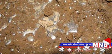 Энэ онд химийн аюултай бодис алдагдсан 10 гаруй тохиолдол гарчээ