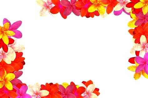 Decoration Border Frame Window Design 23625911 Png