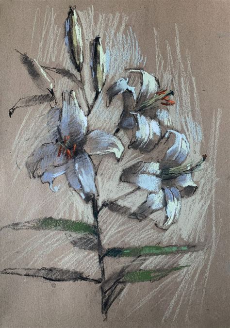 «Цветы пастелью 2» онлайн-курс Ирины Климовой | Soft pastel art, Flower ...