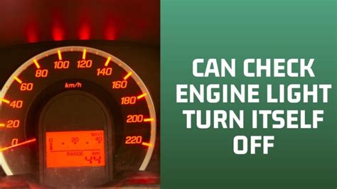 Here's How to Use Liqui Moly Fuel Injector Cleaner - Shock Absorber Pro