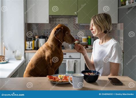 Depressed Mature Woman Feeds Favourite Vizsla Dog Sitting Together In