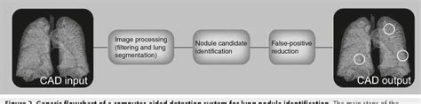 Figure 2 From Computer Aided Detection For Pulmonary Nodule