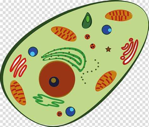 Cells 3520092 Clipart Library