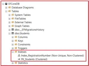 Index Attribute In Entity Framework Core Dot Net Tutorials