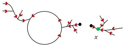 An Oriented Tree Loop Tree When The Loop Is Counter Clockwise Download Scientific Diagram