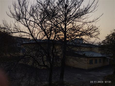 무료 이미지 나무 저녁 학교 어두운 하늘 분위기 작은 가지 목재 분기 자연 경관 건물 햇빛 황혼 트렁크 식물 구름 Tints And