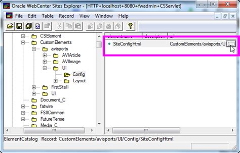 oracle webcenter sites 11g customizing the contributor interface