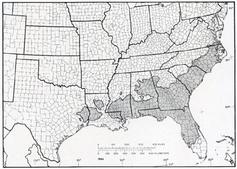 Native Range Of Longleaf Pine Pinus Palustris Mill 13 Download