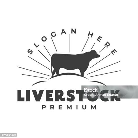 앵거스 비프 농장 템플릿 빈티지 엠블럼 클래식 디자인 암소 그림 방목장에 대한 스톡 벡터 아트 및 기타 이미지 방목장 블랙앵거스 가축떼 Istock