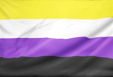 Non Binary Pride Flag Flagship Pn2101 Omnisexual Flag Store The