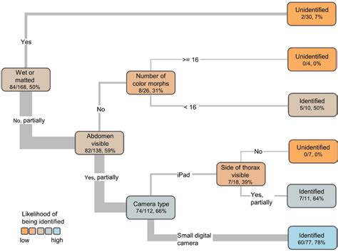 results of classification tree analysis showing characteristics