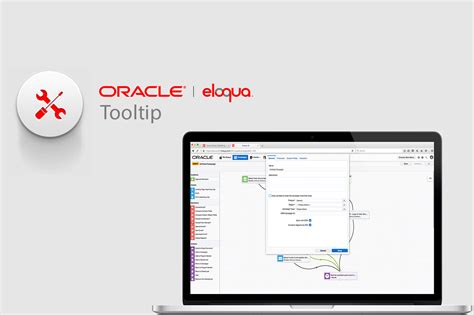 Tool Tip Oracle Eloqua Campaign Fields Relationship One