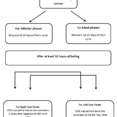 The Study Protocol Diagram Download Scientific Diagram