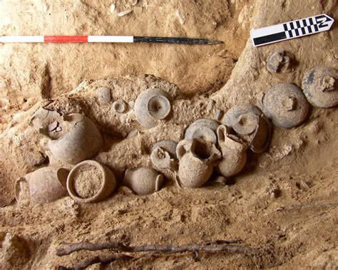 Montecchio Borghi In Digitale